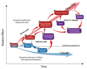 The Science of Addiction: Theories, Types and Therapies | OxJournal