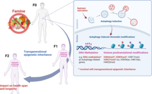 Transgenerational Epigenetic Inheritance: A Review of the Mechanisms ...