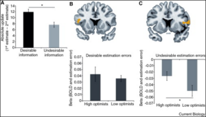 The Neuroscience of Optimism | OxJournal
